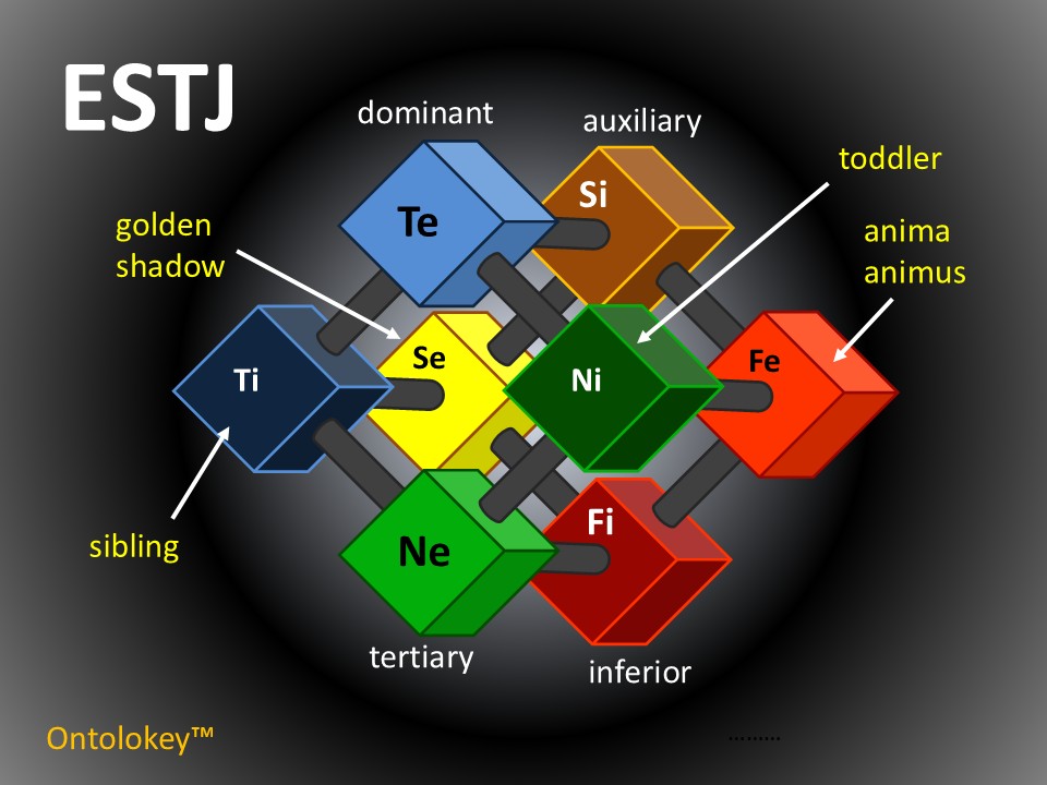 The ESTJ Personality Type in the Ontolokey Framework – Ontolokey